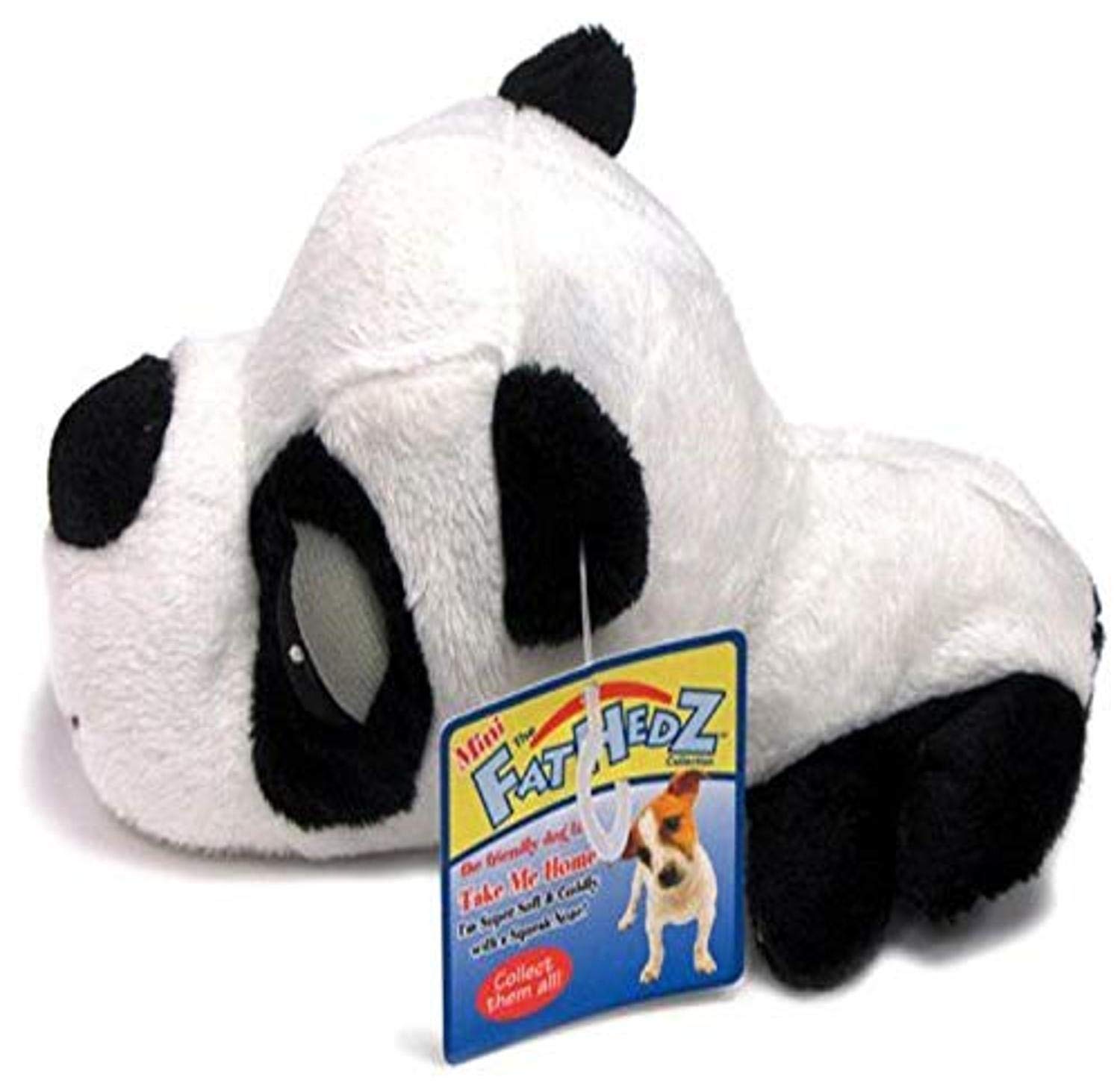 Toy Panda Dog Full Grown