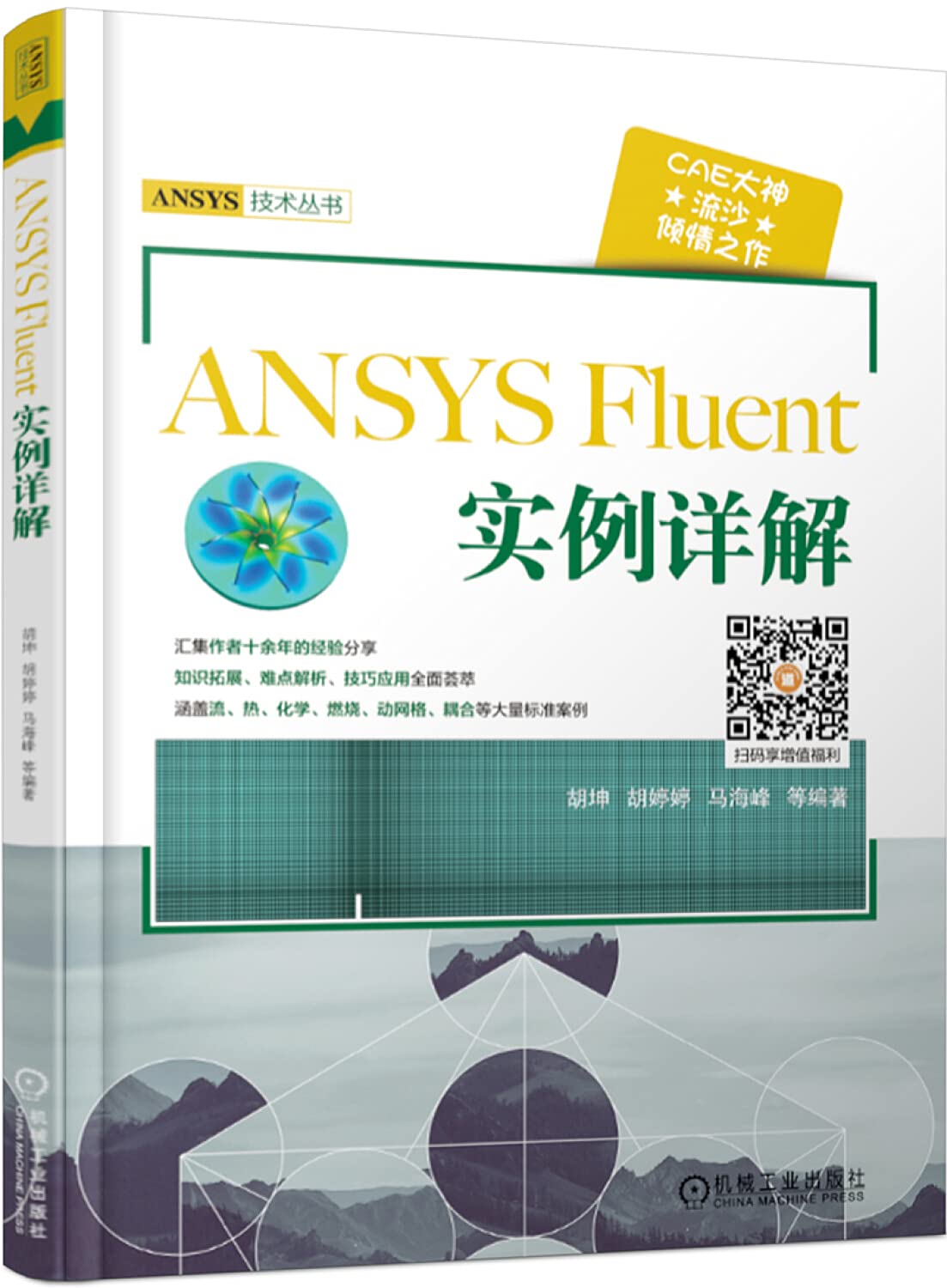 ANSYS FLUENT实例详解 胡坤 等 著: 9787111612018: Books - Amazon.ca