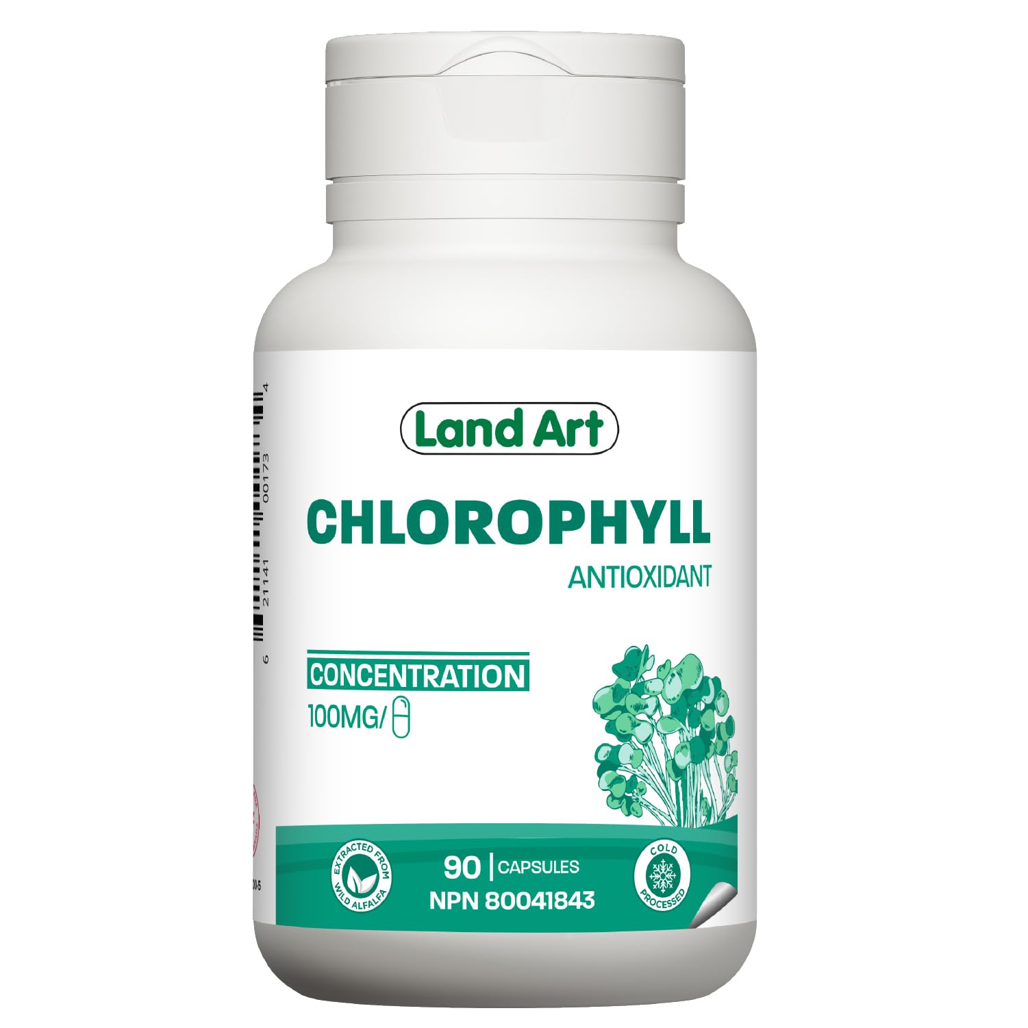 Chlorophyll Capsules - 90 pills - Cold Extracted from Non-GMO Alfalfa ...