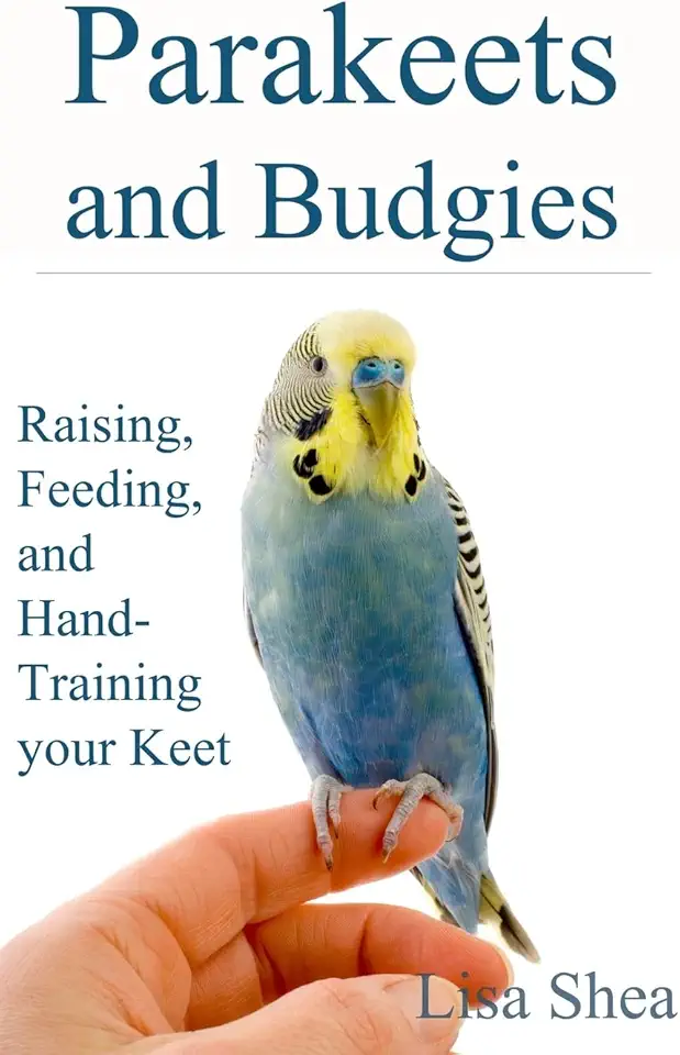 How To Train Budgies: A Step-By-Step Guide For Beginners | PetShun