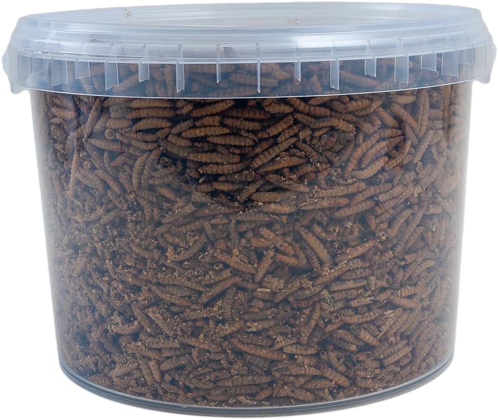 Walter Products Calci Worms 5kg Bag - Bird Food for Wild Birds in ...