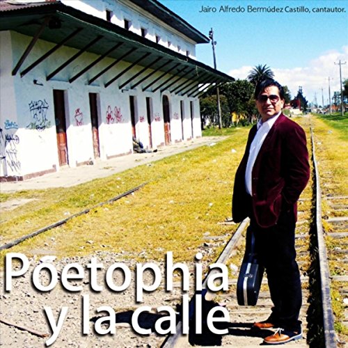 Amazon.com: Poetophia y la Calle : Jairo Alfredo Bermúdez Castillo ...