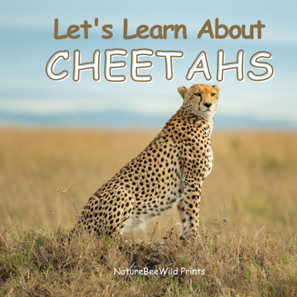 Let's Learn About Cheetahs (Educational Photography Book for Kids (Let ...
