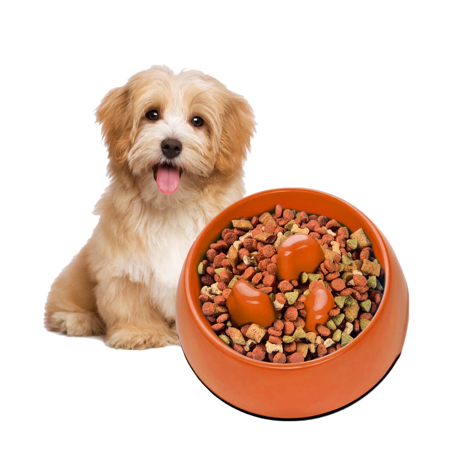 Are Slow Feeders Bad For Dogs are-slow-feeders-bad-for-dogs