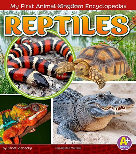 Reptiles (My First Animal Kingdom Encyclopedias): Riehecky, Janet ...