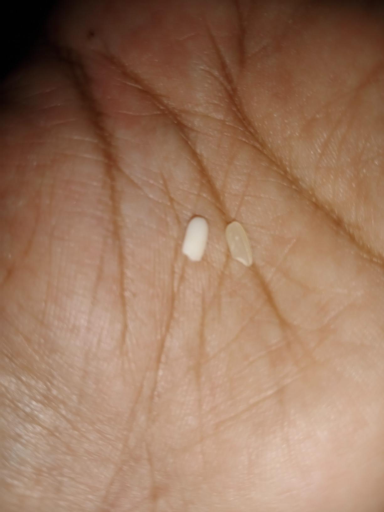 Pahari Roots - White Sticky Rice (1kg) | Traditional Nutritious Sticky ...