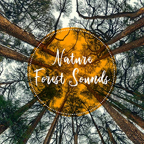 Amazon MusicでVARIOUS ARTISTSのNature Forest Soundsを再生する