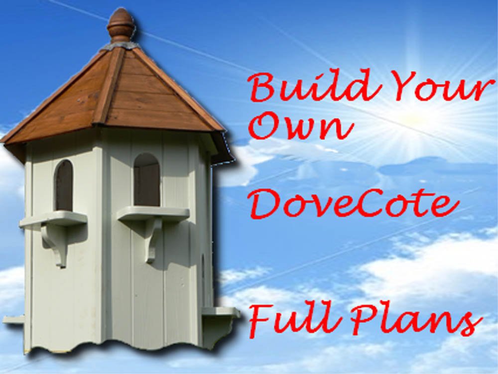 Amazon.com: Build Your Own Dovecote Instructions eBook : Statham, Nick ...