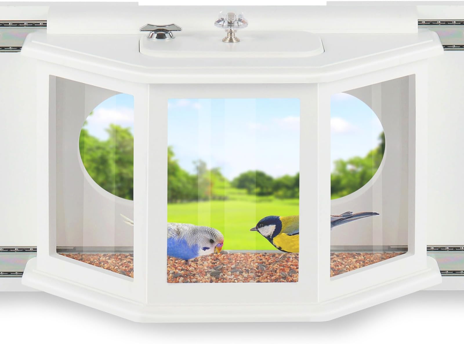 Amazon.com : BAIAPEY in Window Bird Feeders for Viewing - 180° Clear ...