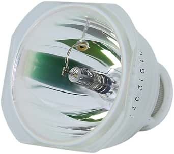 Amazon.com: LYTIO Premium for HP L1709A Projector Lamp (Original OEM ...