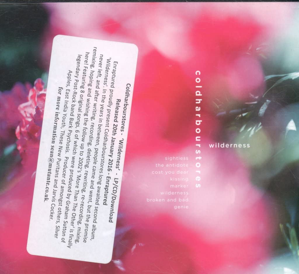Amazon.com: Wilderness: CDs & Vinyl