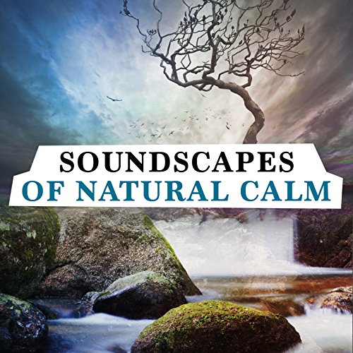 Play Soundscapes of Natural Calm by Soundscapes! on Amazon Music