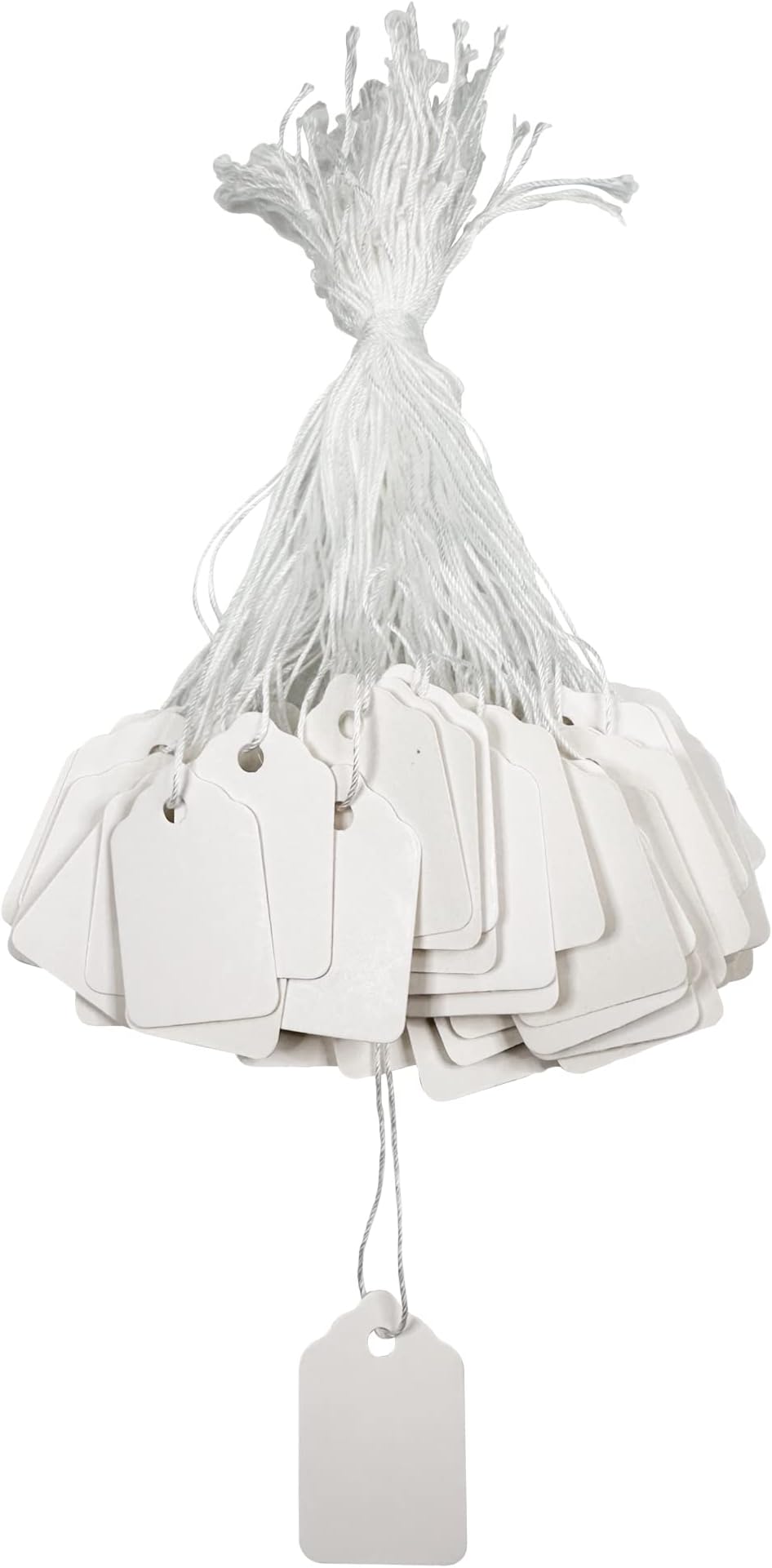 Amazon.com : CuteBox 3/4" x 1 1/8"White String Tags for Labelling ...