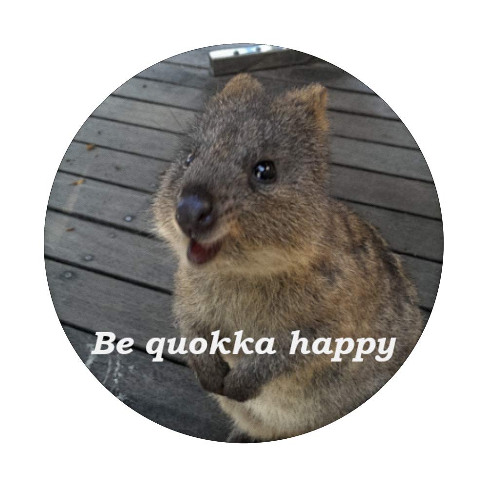 Quokka Happy Meme