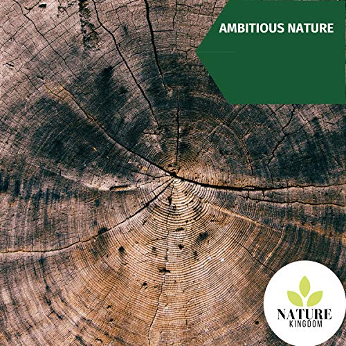 Play Ambitious Nature by Nature Field Recordings & Nature Atmospheres ...
