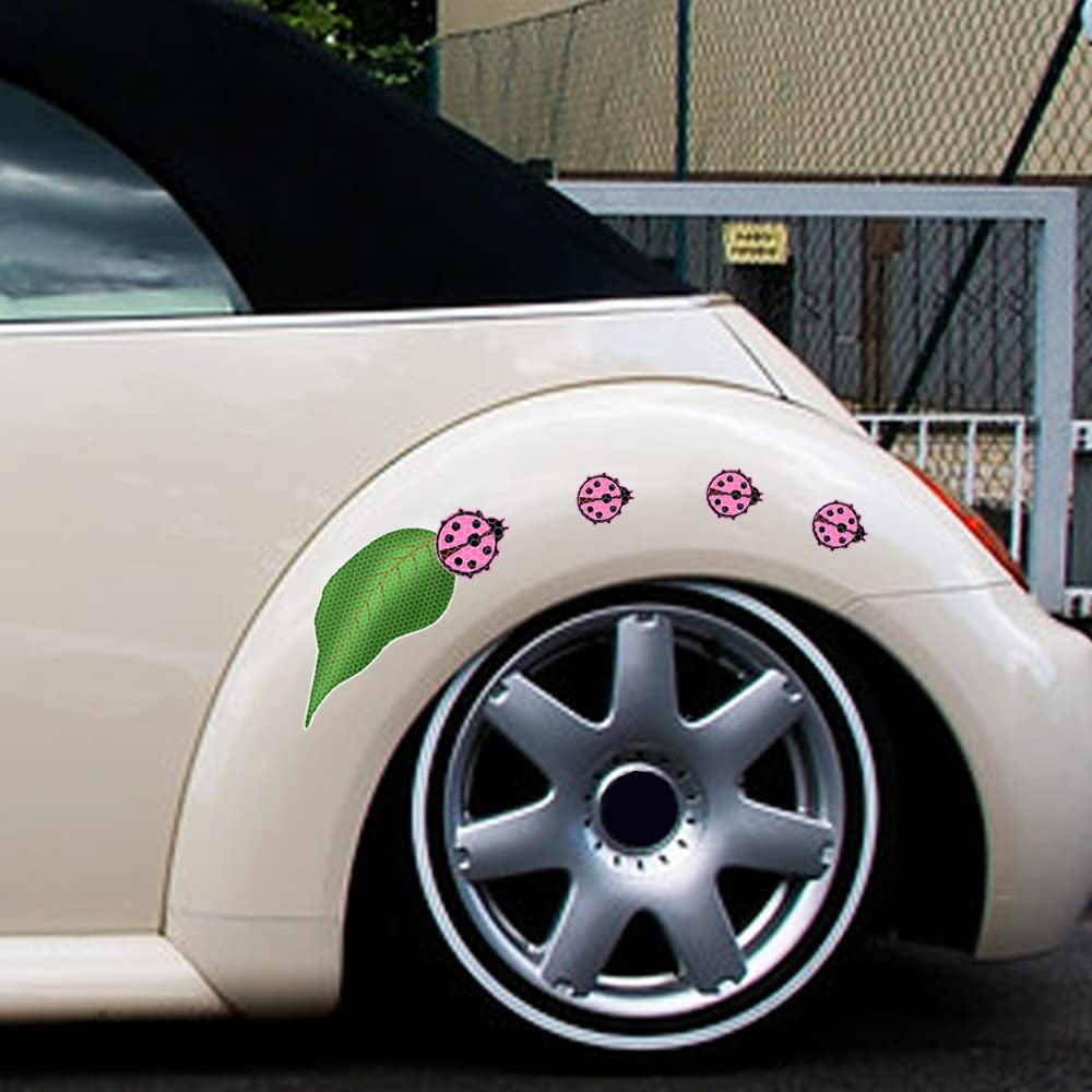 Amazon.com - Iprokiu Funny High Intensity Reflective Leaf and Ladybug ...