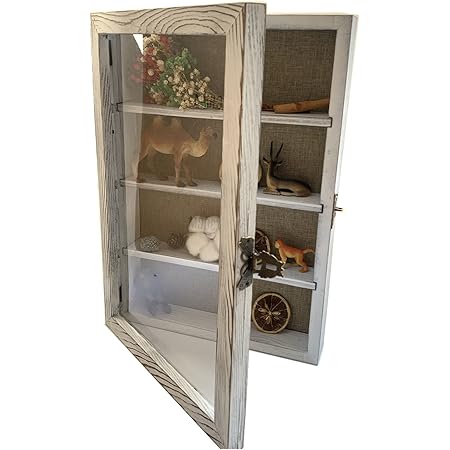 Amazon.com - BECTSBEFF 13x16 Large Shadow Box with Shelf, Deep Shadow ...