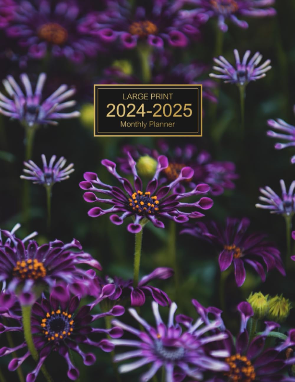 2024-2025 Large Print Monthly Planner: 2 Years from JANUARY to DECEMBER ...