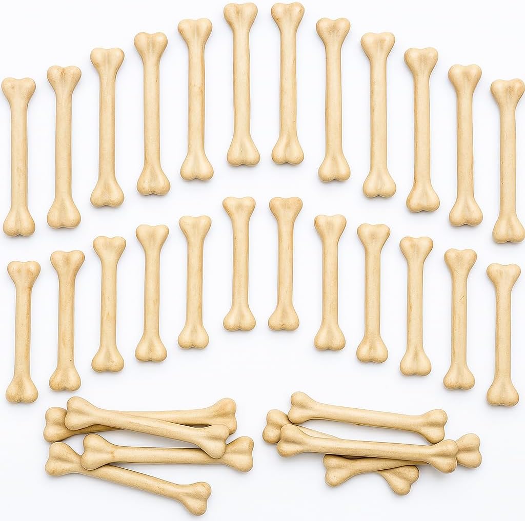 Amazon.com: KatchOn, Mini Halloween Skeleton Bones - Big Pack of 24 ...