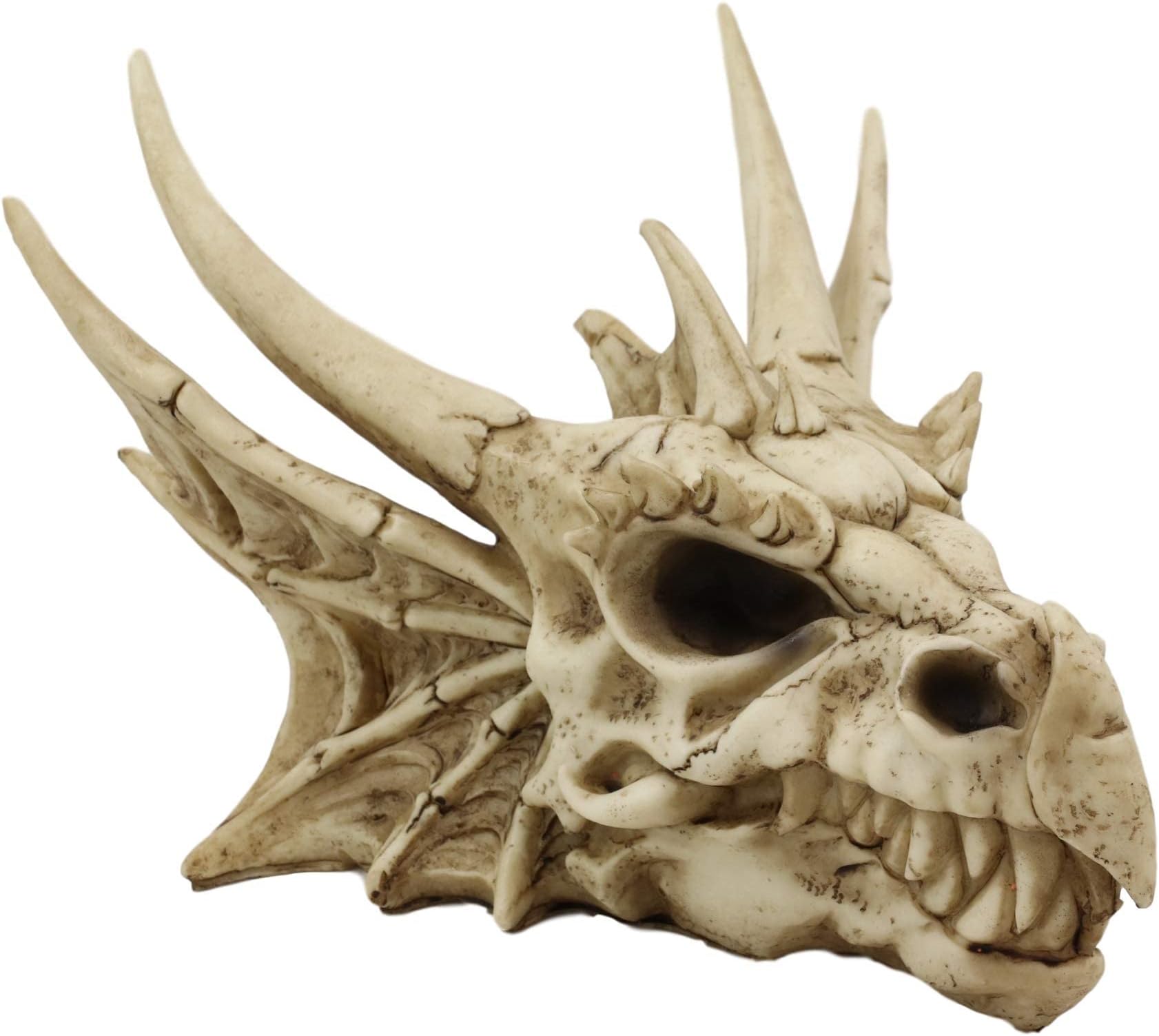 Amazon.com: Large Dragon Skull Resin and Hand Painted Statue : Home ...