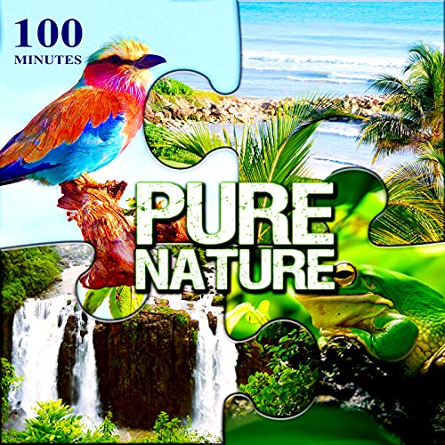 Play 100 Minutes Pure Nature – Relax in Exotic Paradise with Bubbling ...