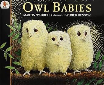 Owl Babies (Big Books): Written by Martin Waddell, 1998 Edition, (New ...