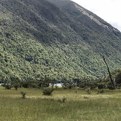 Play Chestnut Mare by Steve Low on Amazon Music