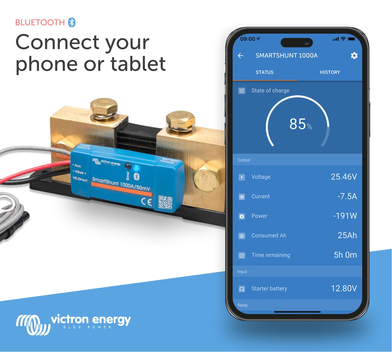 Victron SmartShunt 1000A/50mV, 58% OFF