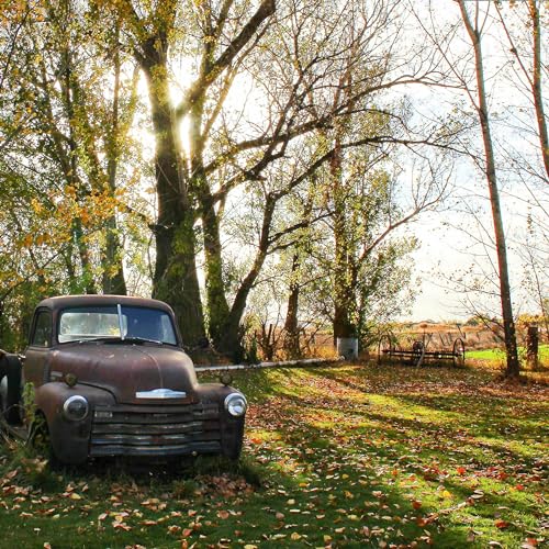 Steel Toe Boots by Lil Dj on Amazon Music - Amazon.com