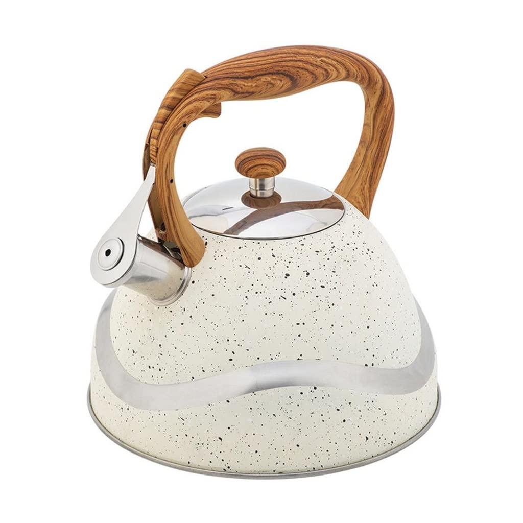 15 Best Induction Tea Kettle Options for 2023