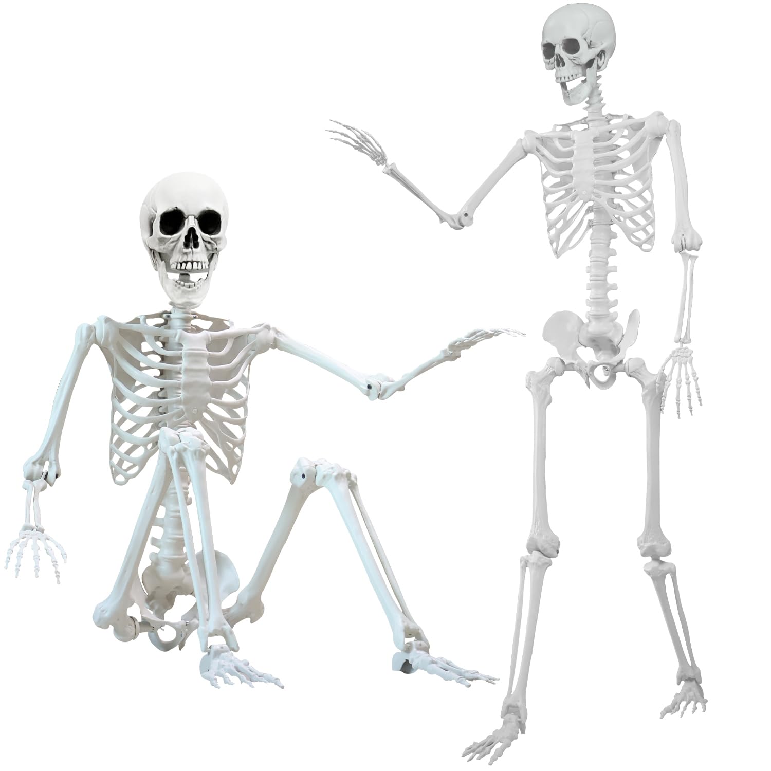 5.4 ft Halloween Skeleton Poseable Skeleton Life Size Skeleton Full ...