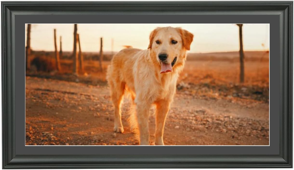 Amazon.com - LTYHHK 12x20 Panoramic Picture Frames Solid Wood with ...
