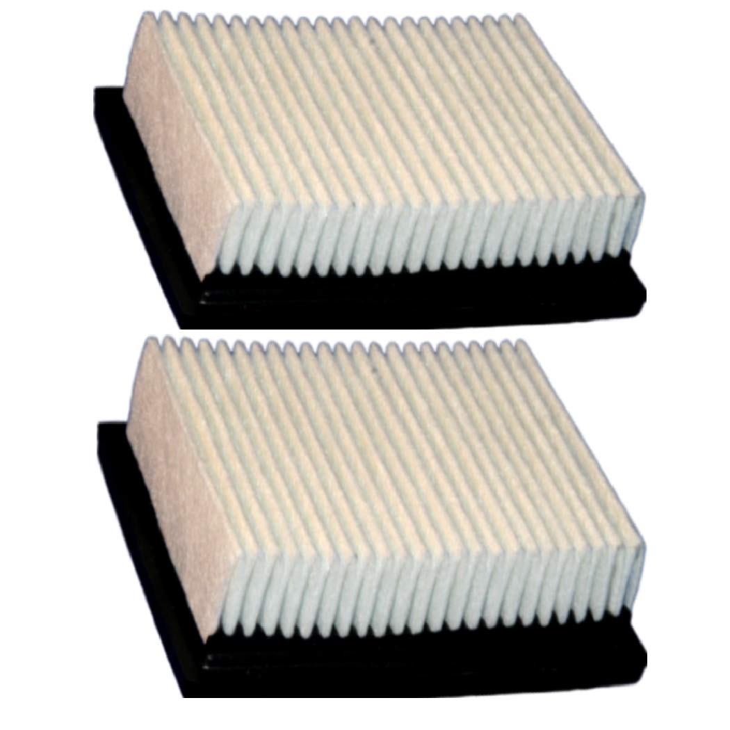 Tennant Dust Panel Filter - Quantity 2 - Part 1037822 - Replacement ...