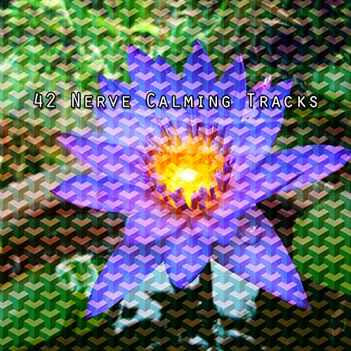 Amazon.com: 42 Nerve Calming Tracks : Brain Study Music Guys: Digital Music