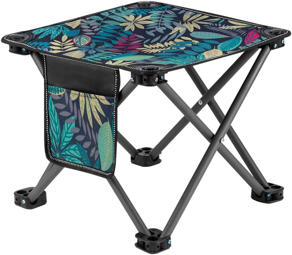 Amazon.com: Camping Stool Portable Folding Stool Lightweight Fishing ...