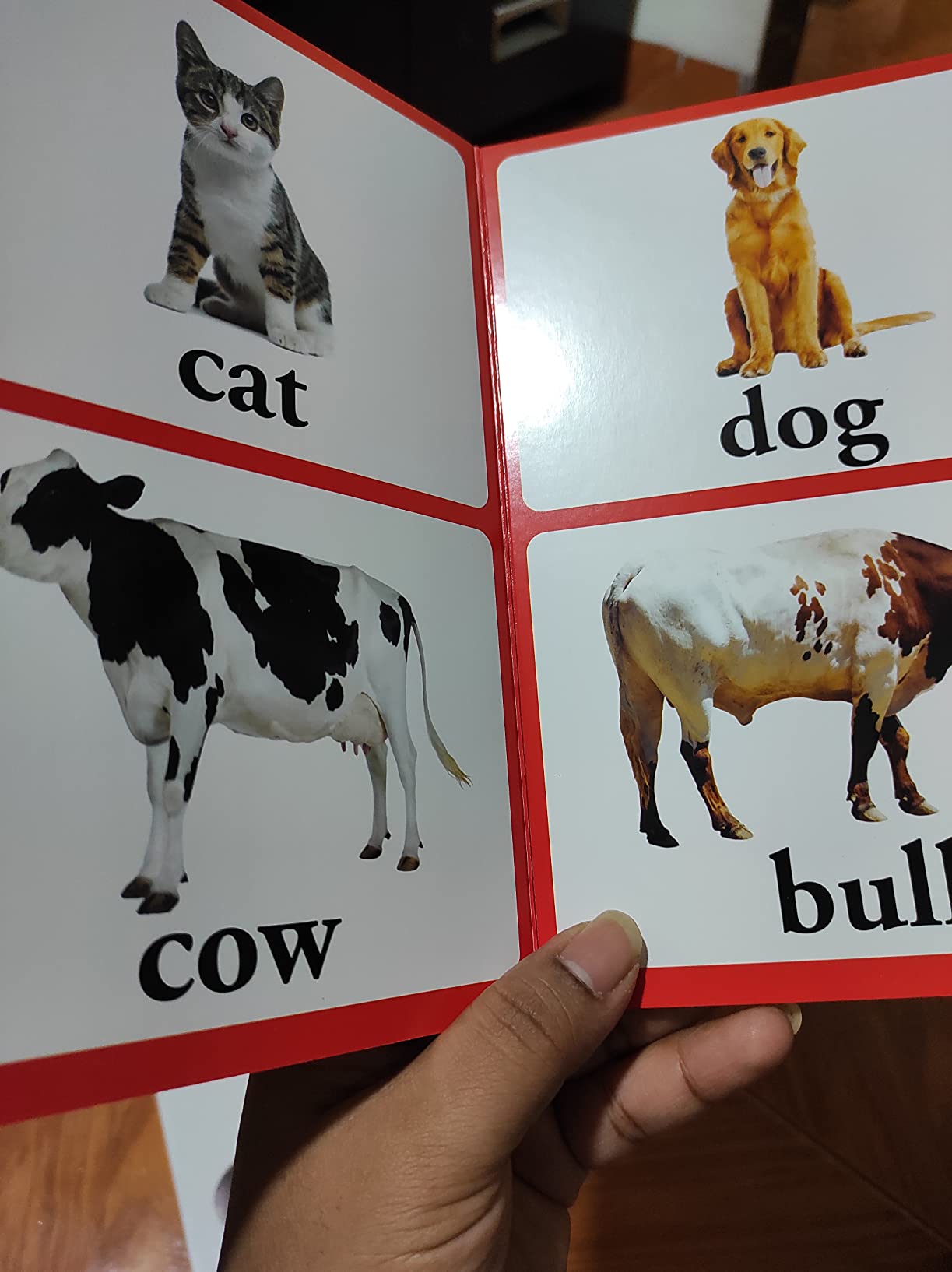 Early Learning Library Pack 2 : Box Set of 5 Books (Big Board Books ...