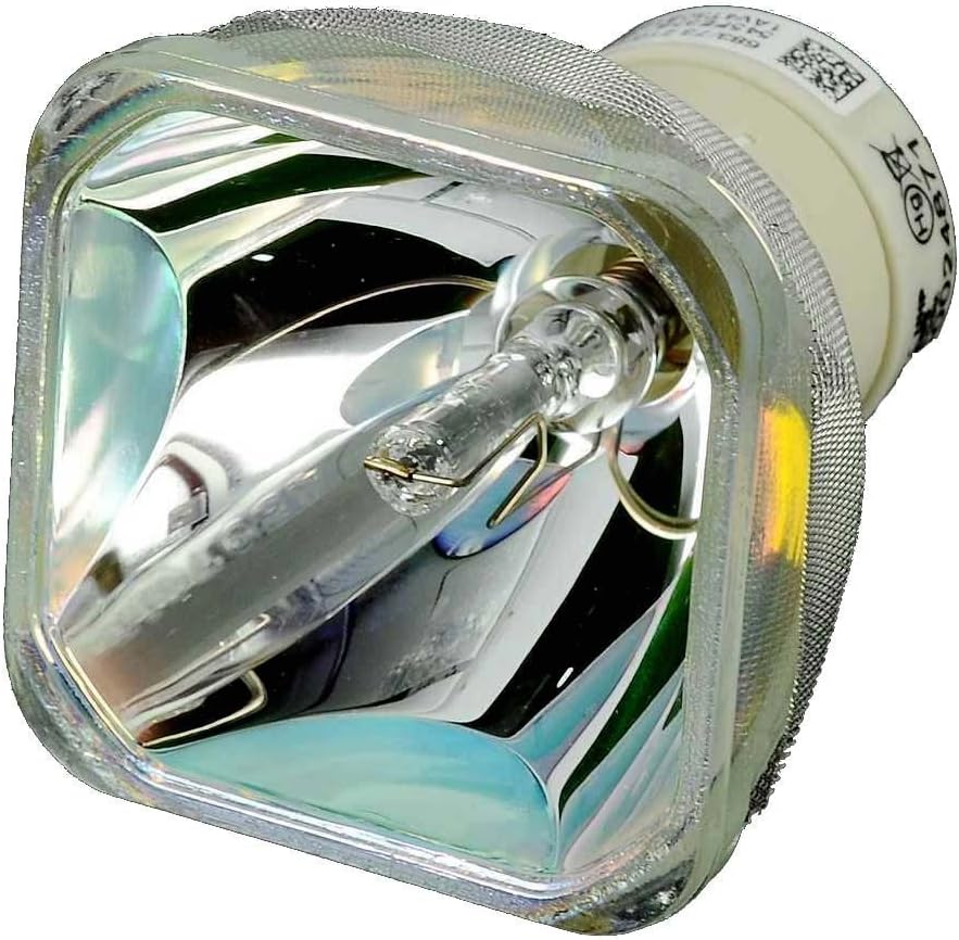 Amazon.com: Top Lamp 100% Original Bare Projector Lamp Bulb LMP-E211 ...