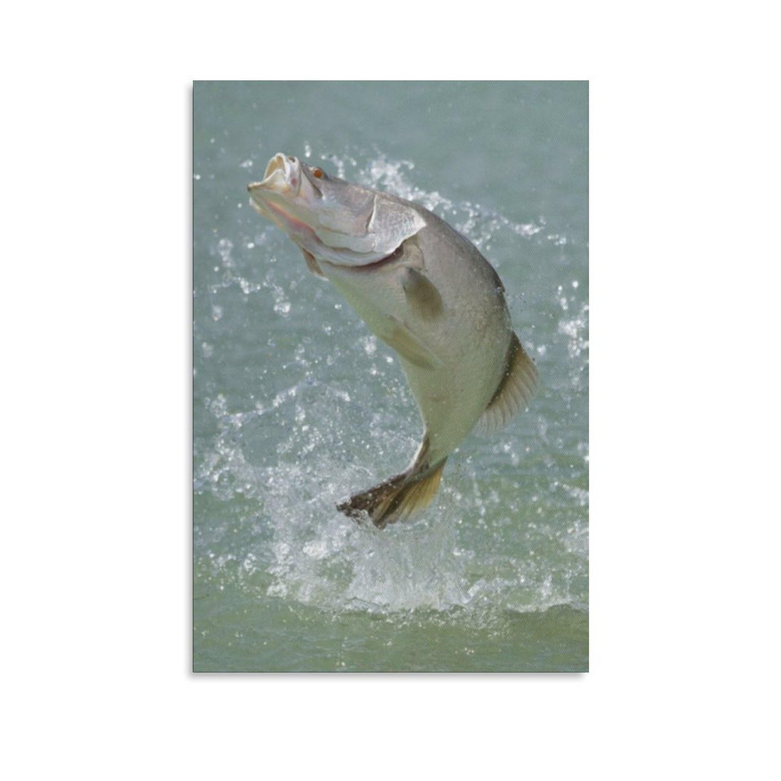 Barramundi Jumping Your Ultimate Guide To Barramundi Fishing In The NT