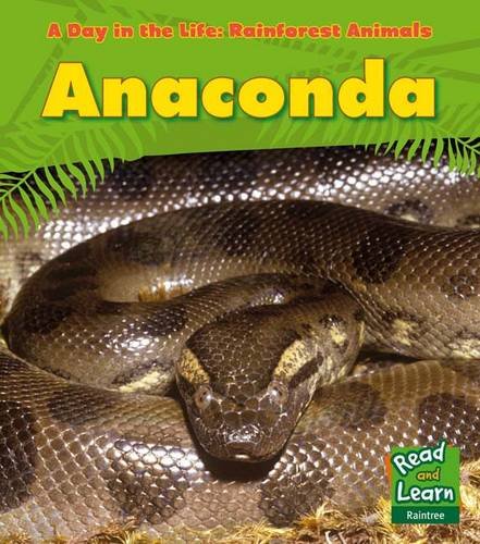 A Rainforest Animals Pack A of 4 (A Day in the Life: Rain Forest ...