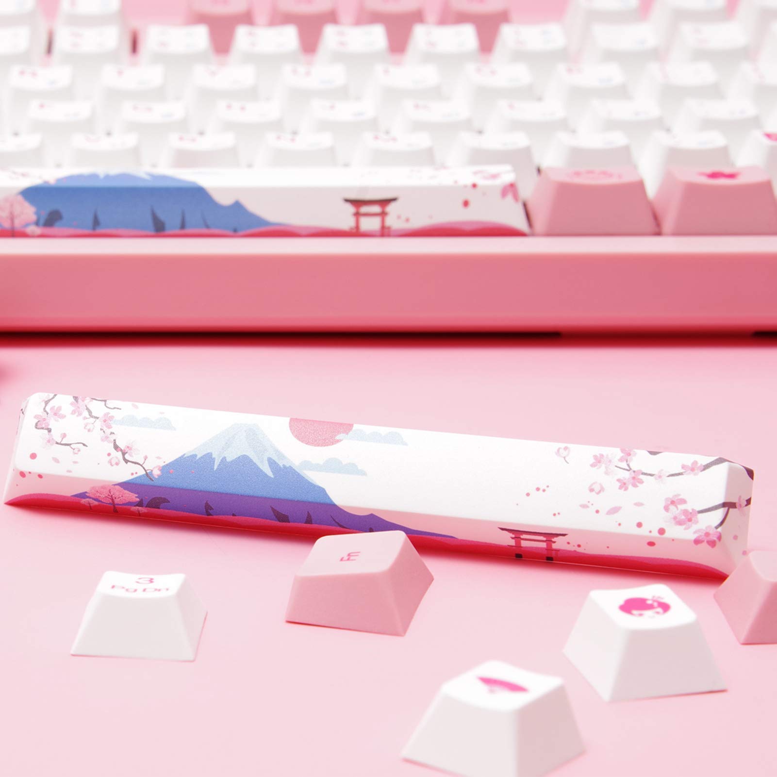 Buy Akko World Tour Tokyo R2 Keycap and 108-Key Full Size Wrist Rest ...