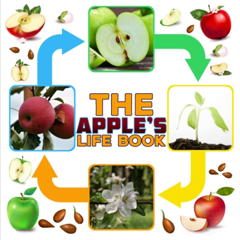 Snapklik.com : The Apples Life Book: Growing Up And Life Cycle Of An ...