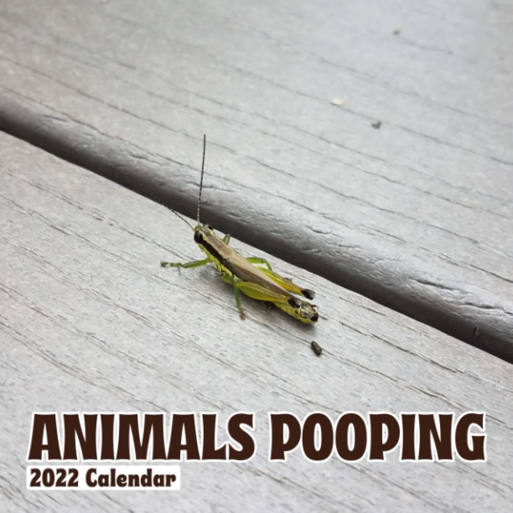 Animals Pooping Calendar 2022 Animals Pooping Official 2022 Monthly ...