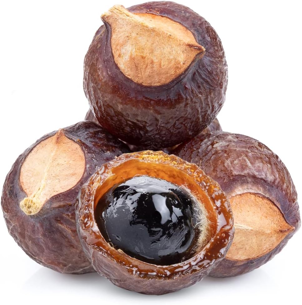 NaturGut Sapindus Mukorossi - 1 kg : Amazon.fr: Grocery