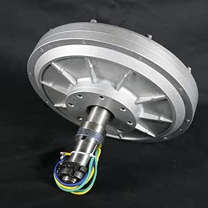 Amazon.co.jp: 1000W 300RPM Vertical Permanent Magnet Alternator 24V 48V ...