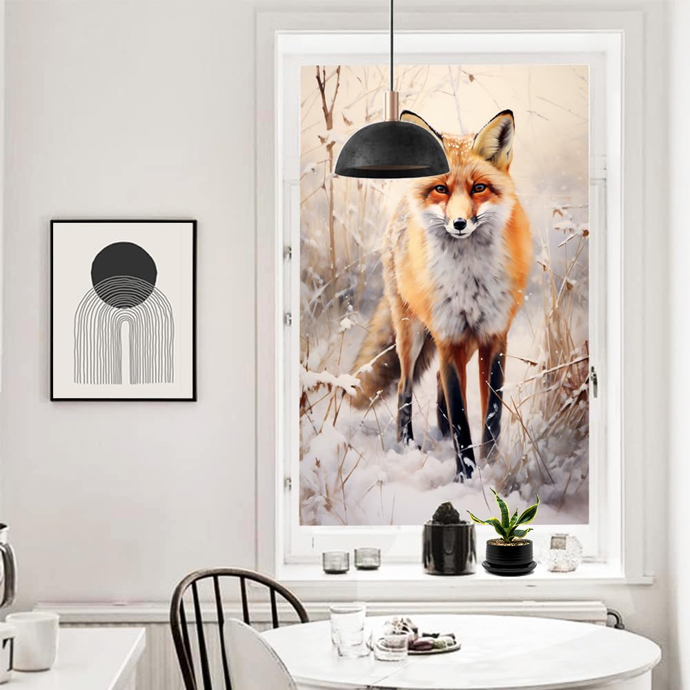 Snow Red Fox Windows Foxes Venture Out To Play In Late Winter The