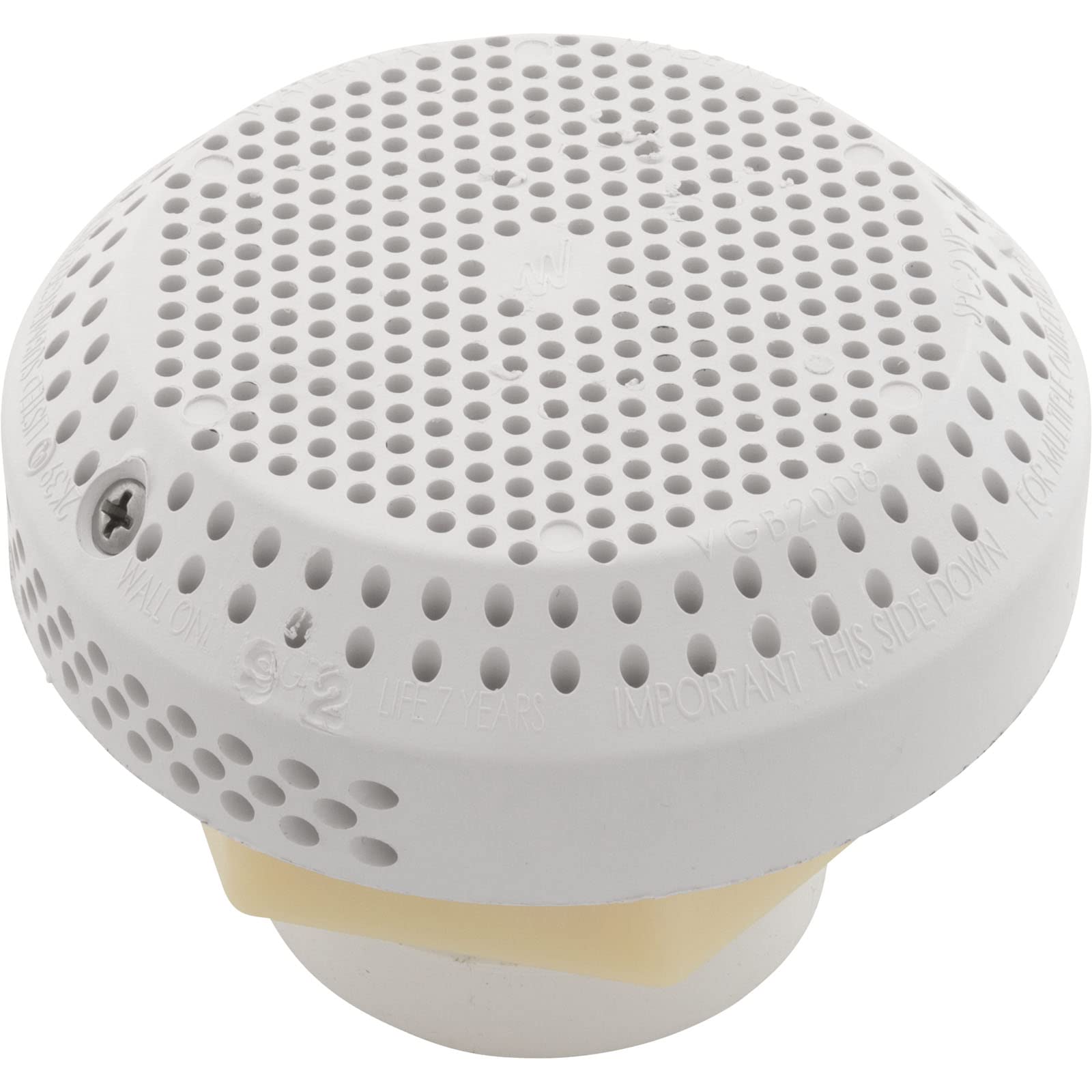 Amazon.com: Waterway Plastics 806105379337 Suction Assembly W/hex Nut ...