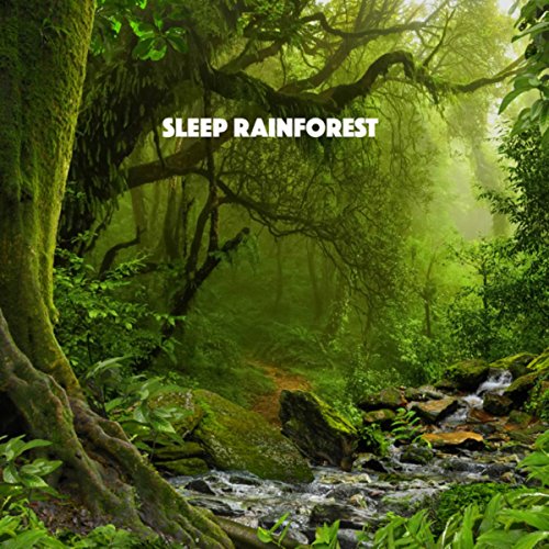 Sleep Rainforest by Rain Sounds Nature Collection, Rain Sounds Sleep & Nature Sound Series on ...