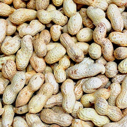 Croston Corn Mill 11.3kg (25lb) 'Wheatsheaf' Peanuts in Shell : Amazon ...