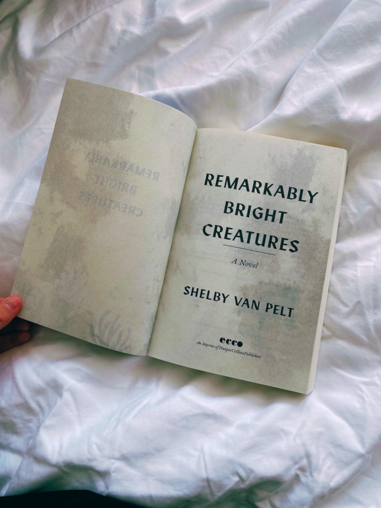 Remarkably Bright Creatures: Large Print Edition for Accessibility: Van ...