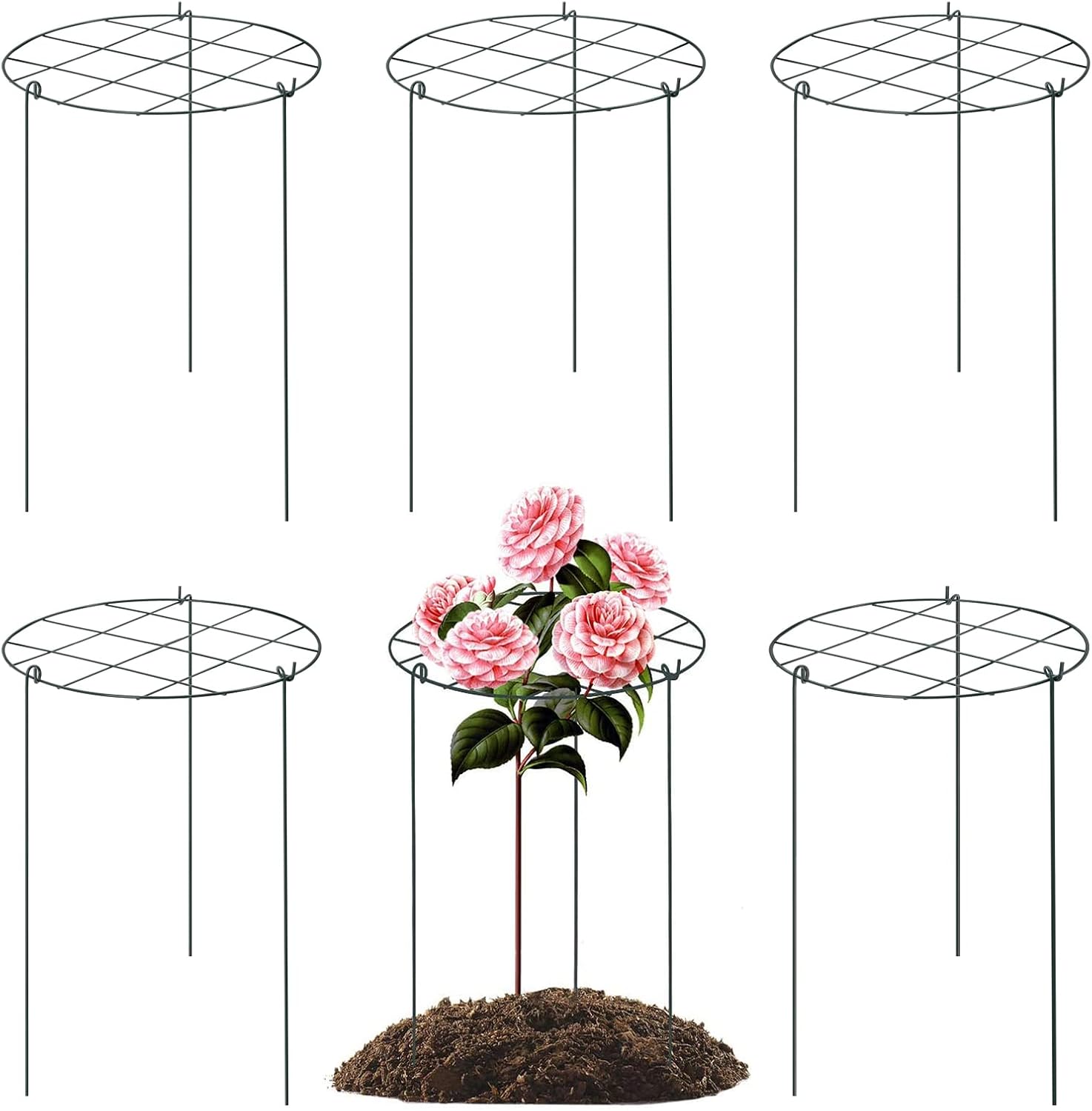 Amazon.com : CEED4U 6 Pack Plant Support Peony Cage16 x 24 Inches Grow ...